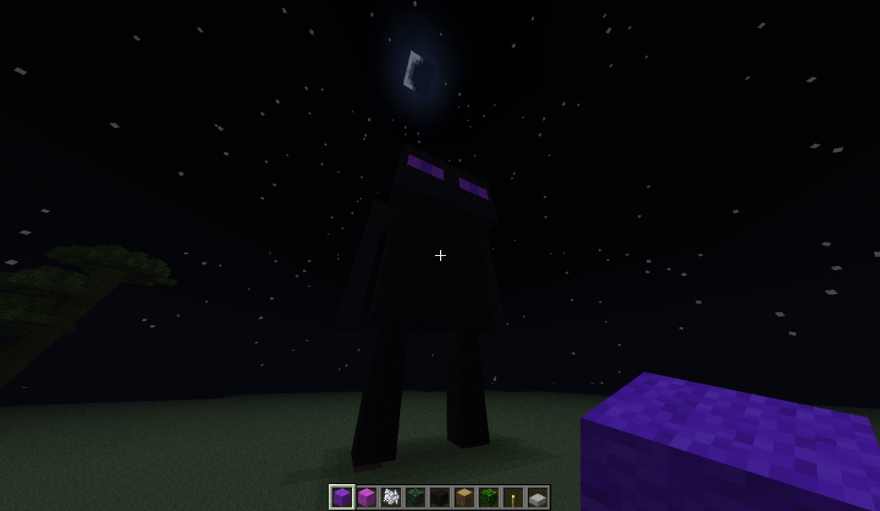 Stout enderman Minecraft Map