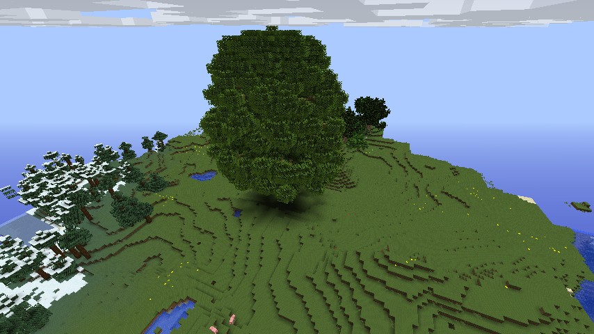 The big tree :0 Minecraft Map