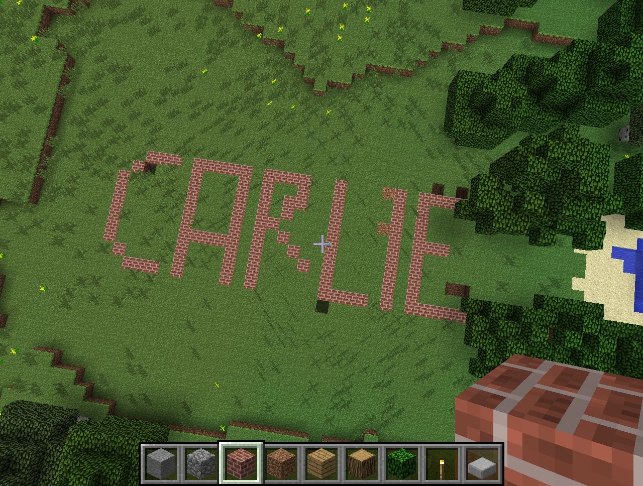 carlie Minecraft Map