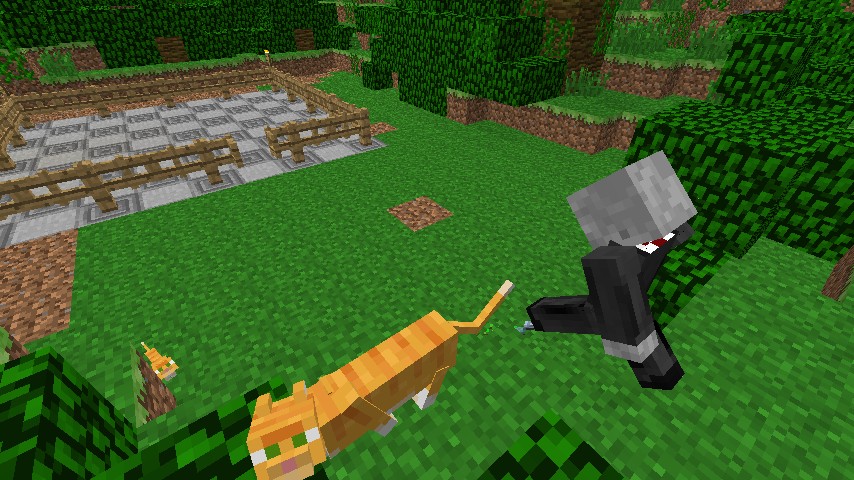 TMCS50(closed) Minecraft Server