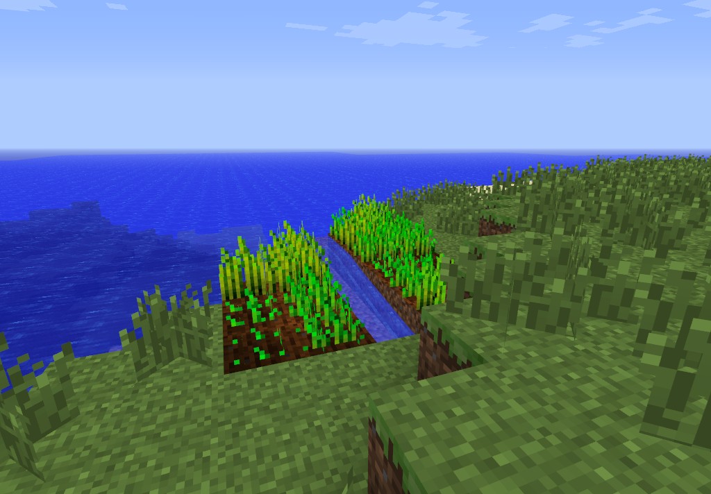 level up! Minecraft Map