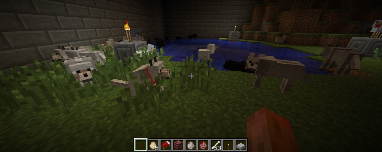 Dog temple Minecraft Map