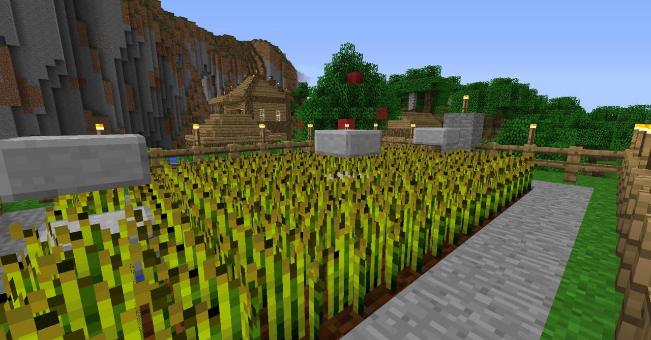 Beach village remix Minecraft Map