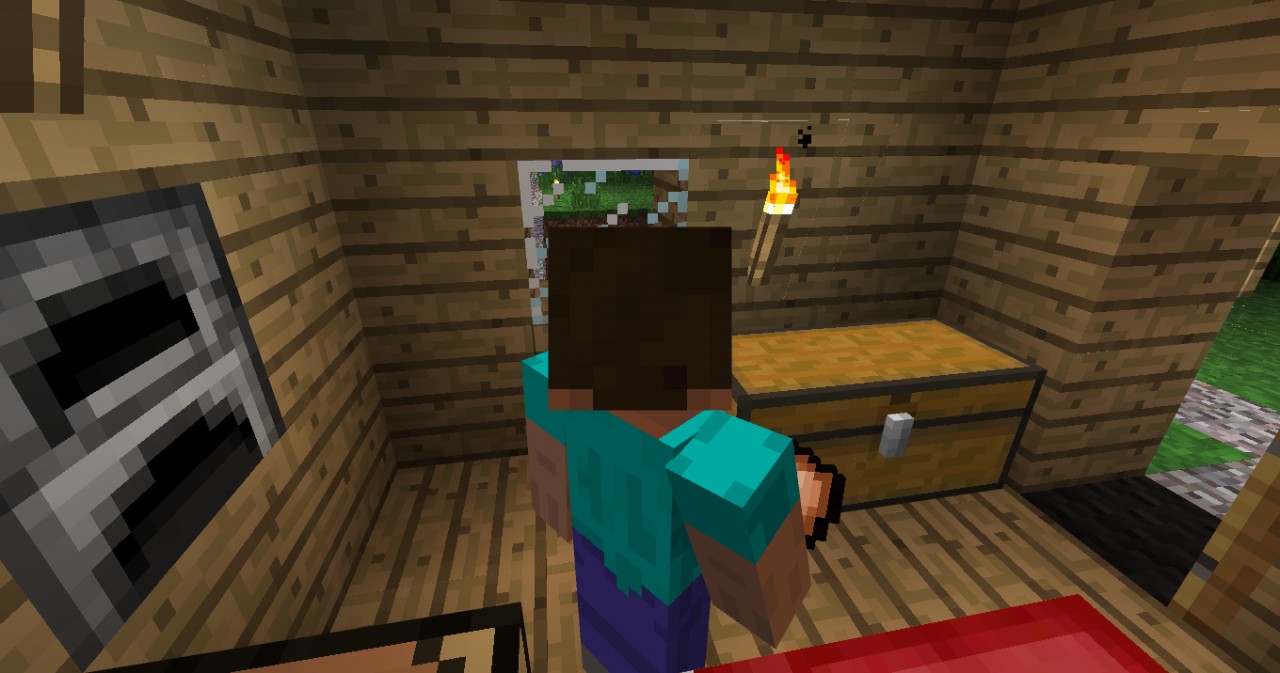 city of steve Minecraft Map