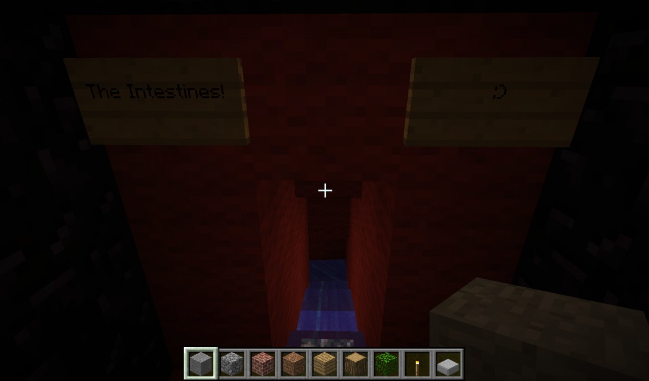 Minecraft - SAW Updated Minecraft Map