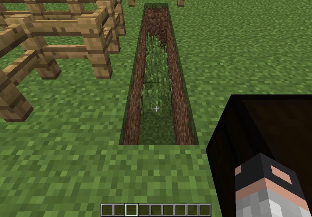 Ocelot Taming Tube Minecraft Map