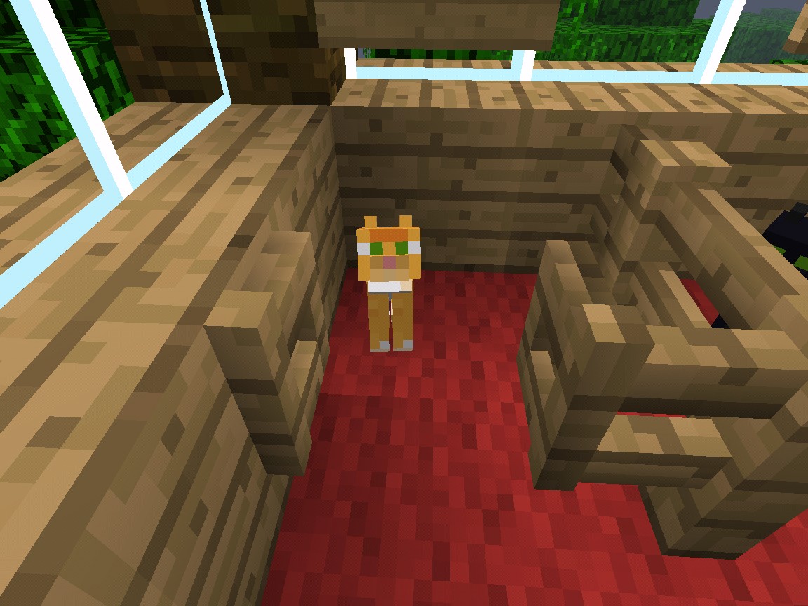 My cat home! Minecraft Map