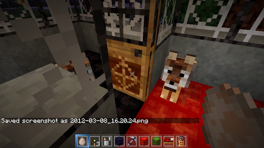 My nice dogs Minecraft Map