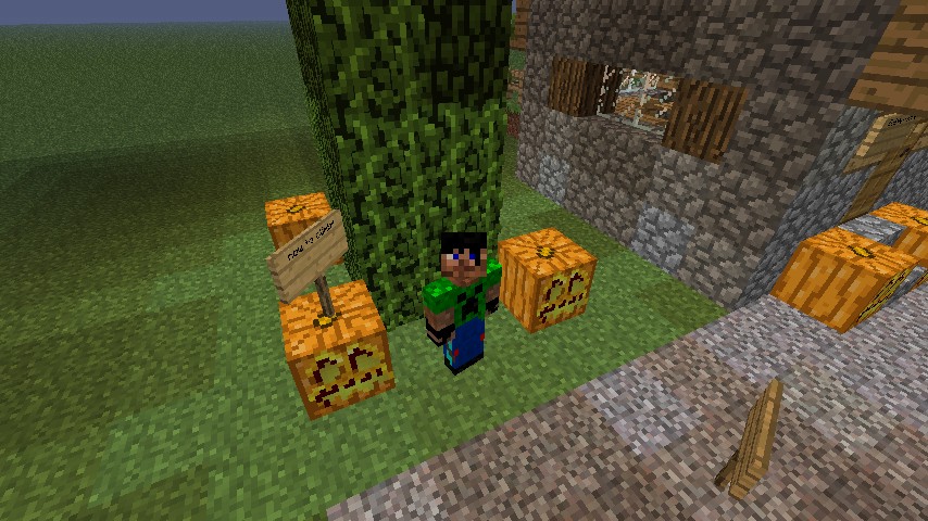 Steve and the Beanstalk Minecraft Map