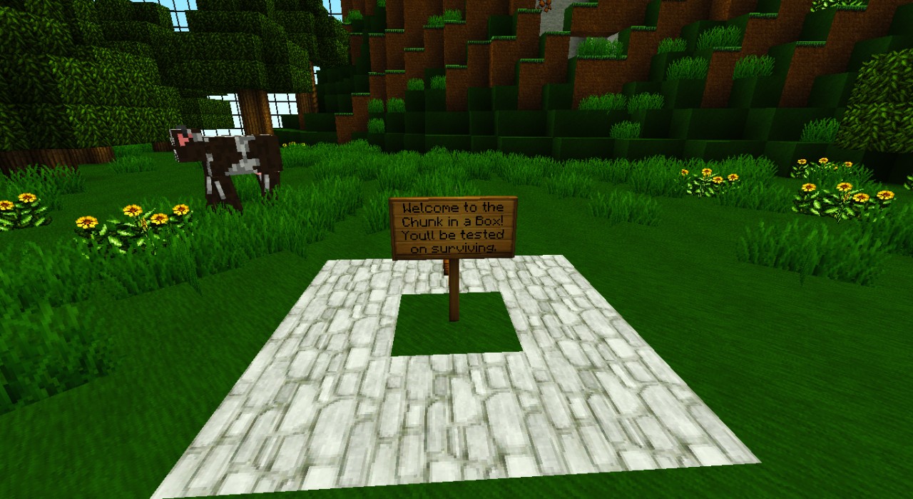 World in a Box Minecraft Map