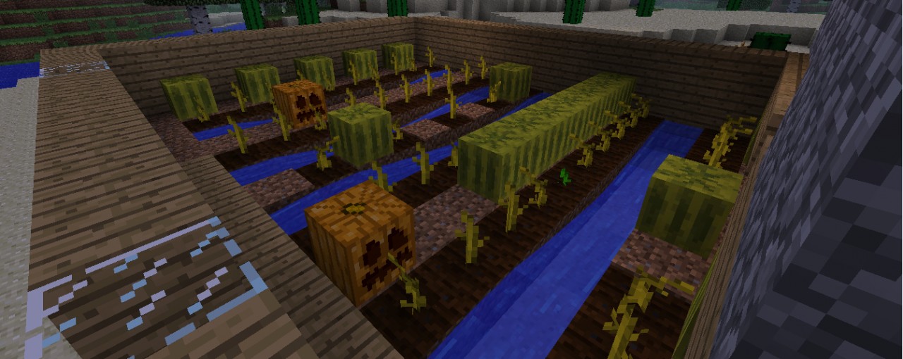 My Survival World! Minecraft Map