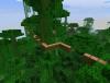 Topkapi Island - Adventure Map Minecraft Map