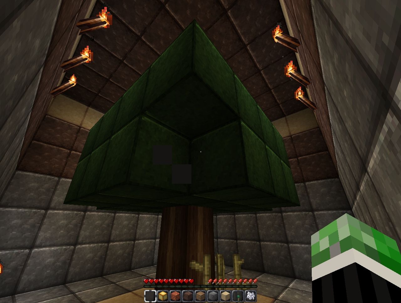 Limited Minecraft Map