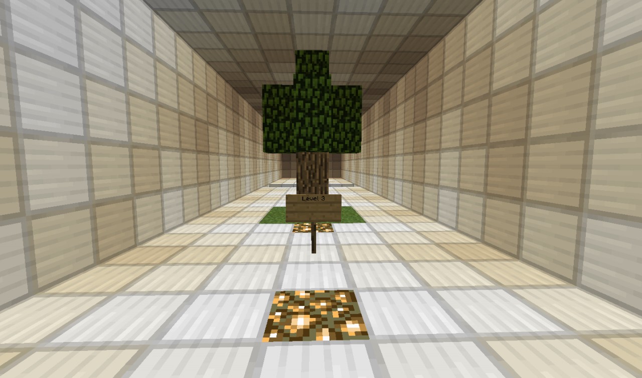 TestCraft - 10 level challenge Minecraft Map