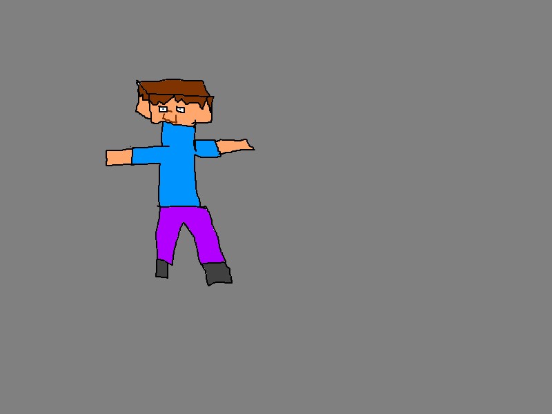 The life of a minecrafter.