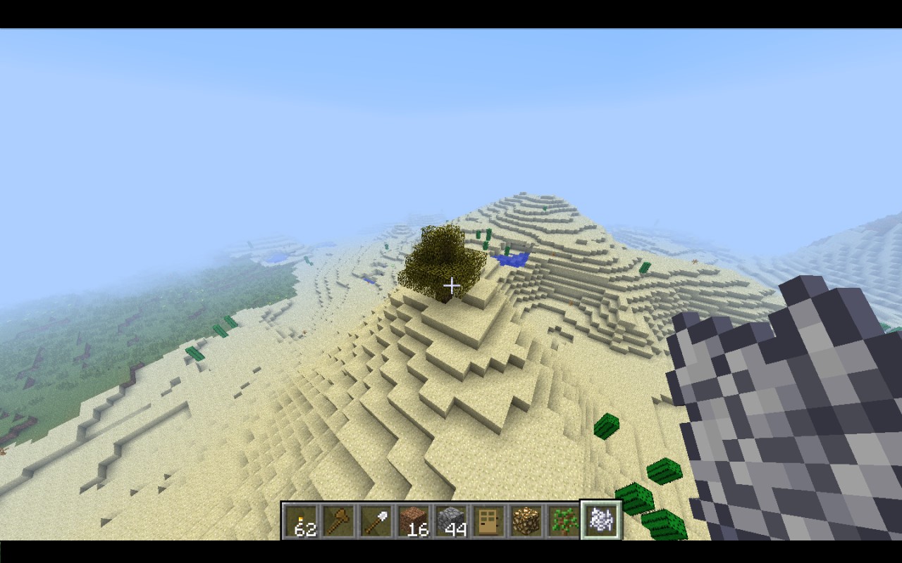 This Tree is Incredibly Unique (No, this is not just a plain tree ...