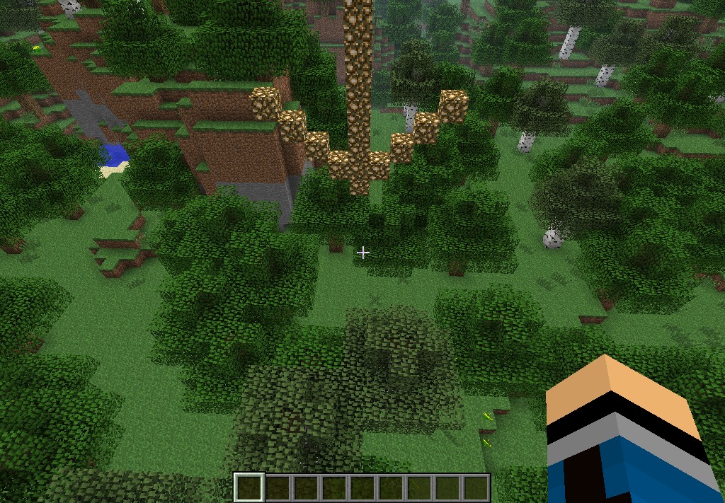 World Seed (Request) Minecraft Map