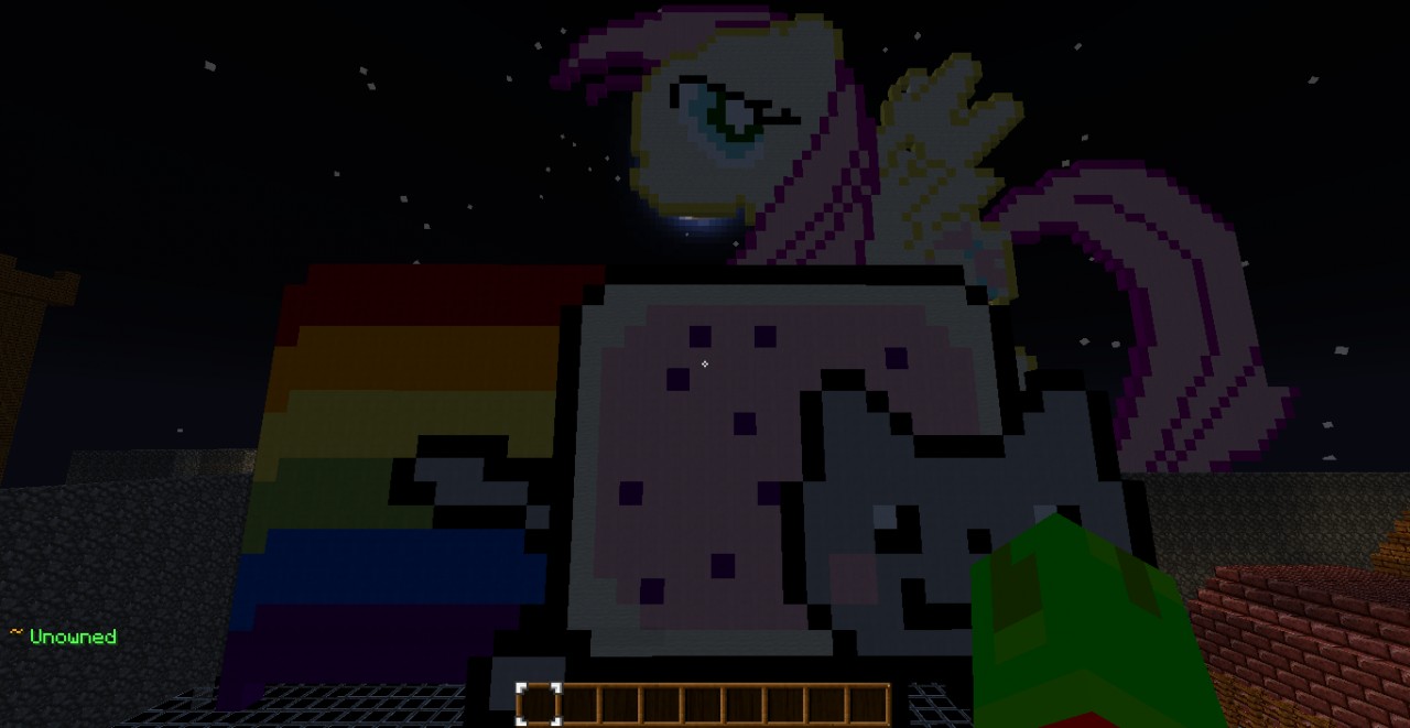 Nyancat & pony pixel art Minecraft Map
