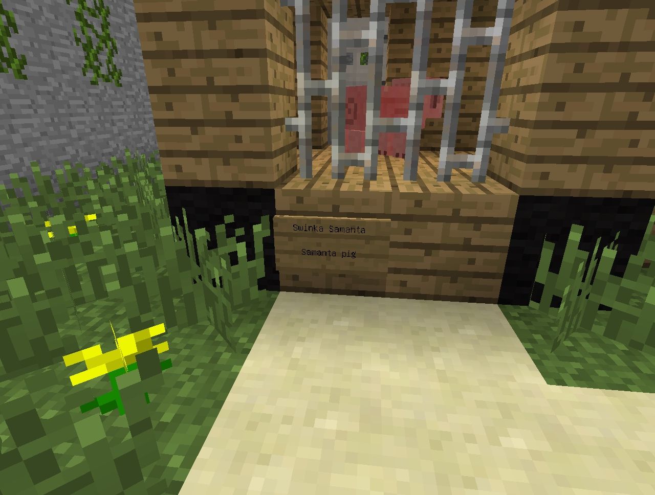 Small ZOO Minecraft Map