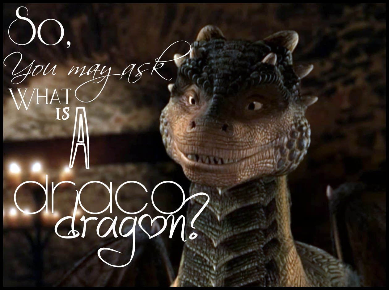 What is a Draco Dragon?