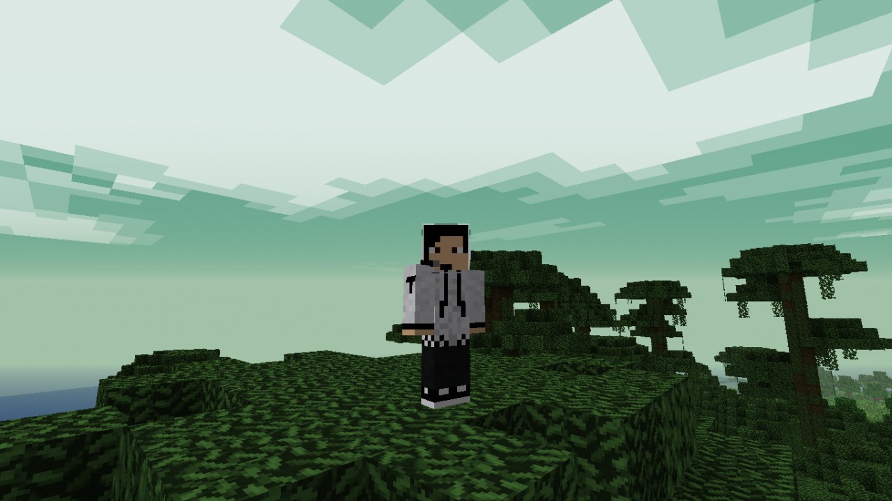 Large Forest Biome (seriously big) Minecraft Map