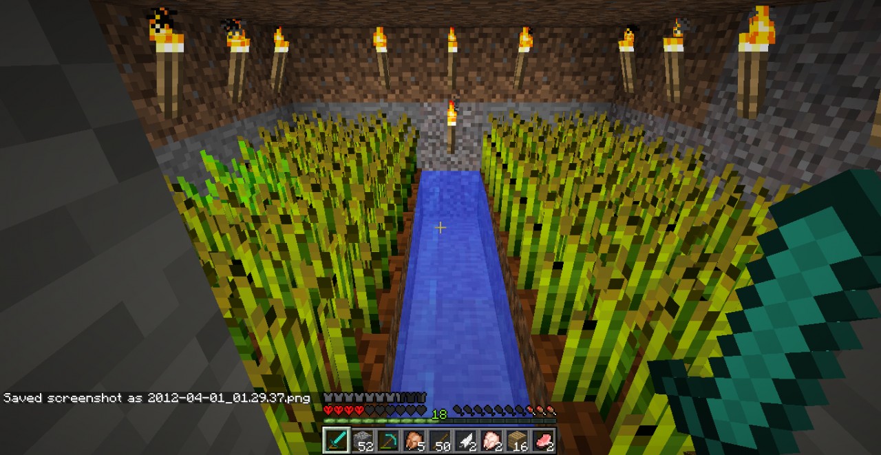 Hardcore Minecraft Survival Save. Minecraft Map