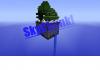 SkyChunk! Minecraft Project