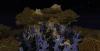 Lothlorien (MCME) Minecraft Map