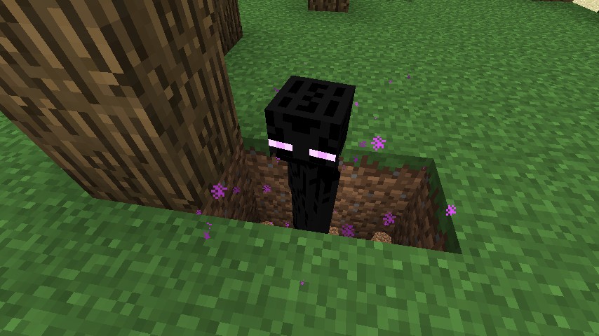 The Legend of Steve Minecraft Map