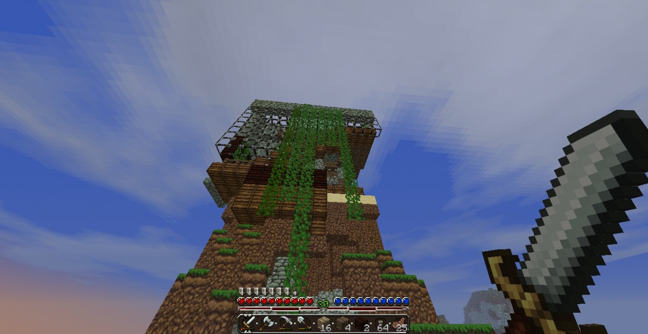 Vine house Minecraft Map