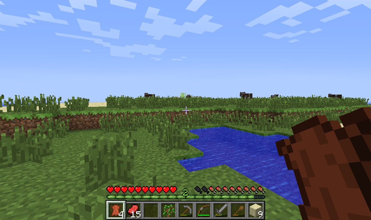 survival Minecraft Map