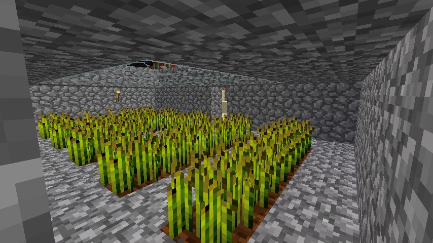 Nether Challenge/Small House Minecraft Map