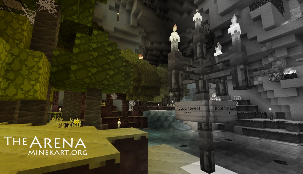 The Arena Minecraft Map