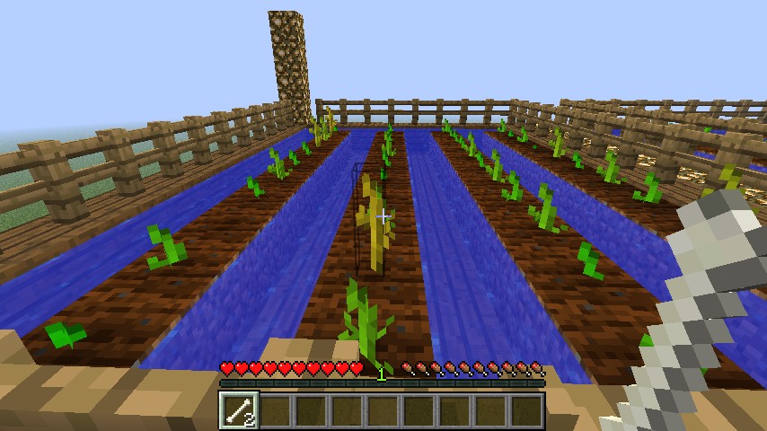 Minecraft Big Farm [Now With A Small Village!+A Forrest!] Minecraft Map