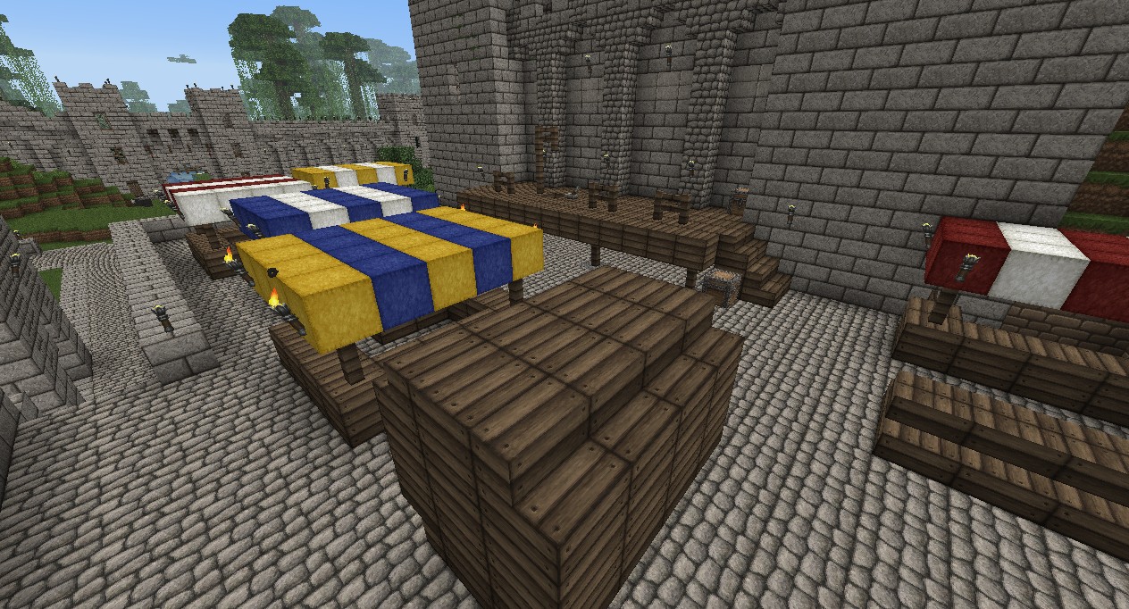 Medieval City of Rowan Minecraft Map