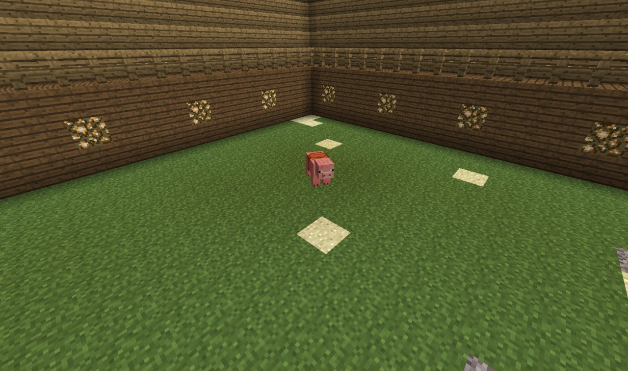 Rodeo Arena Minecraft Map