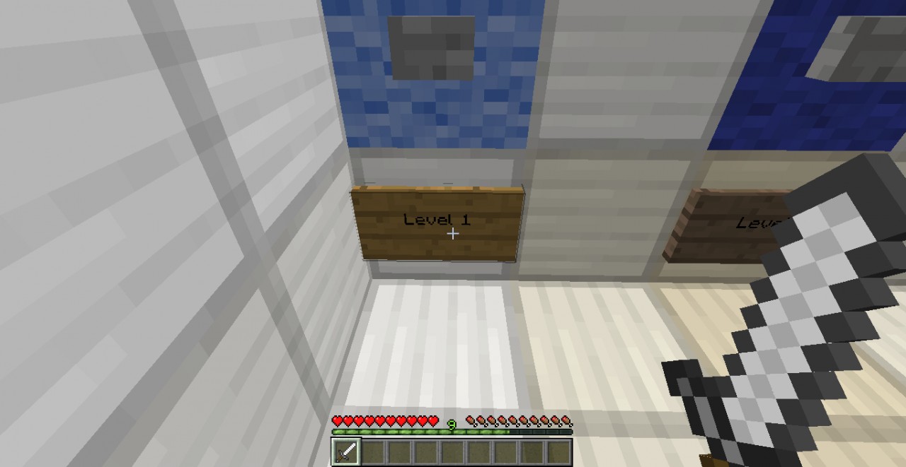 What Level Are You? #1 Minecraft Map