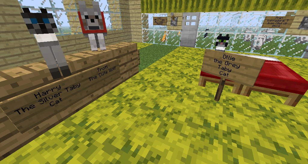 Cat & Dog Shop Minecraft Map