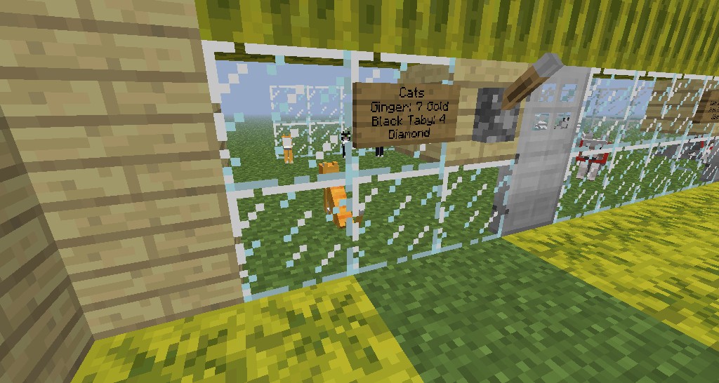 Cat & Dog Shop Minecraft Map