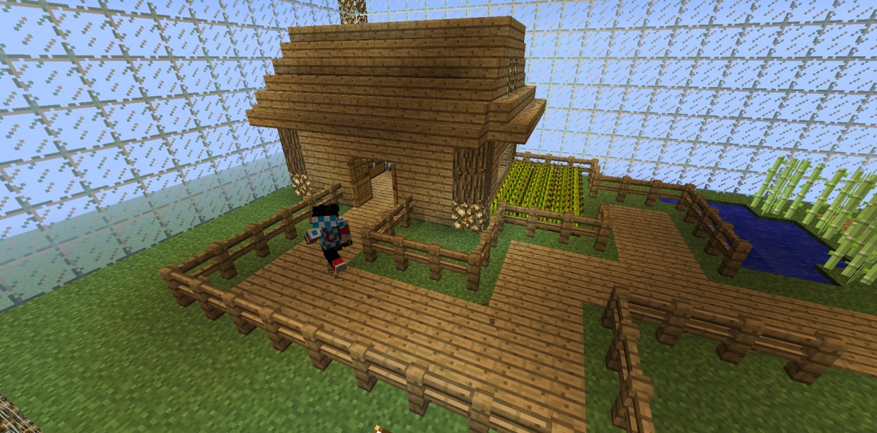 2D World Minecraft Map