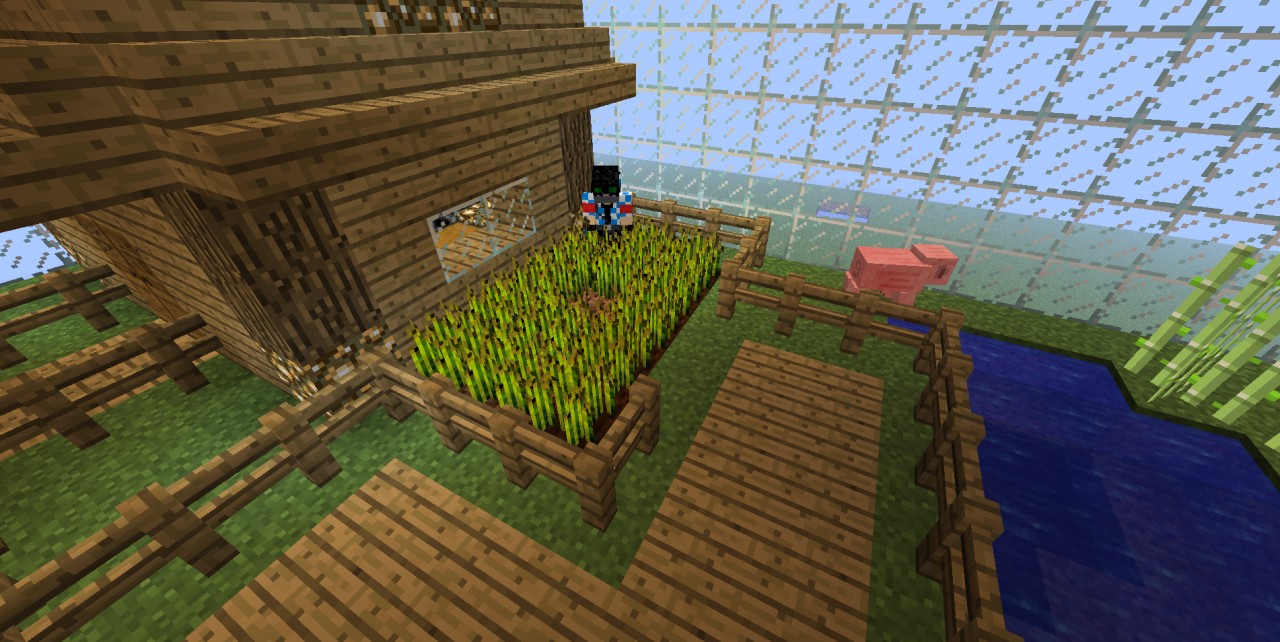 2D World Minecraft Map