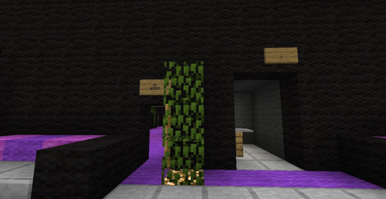 Ender-cinema Minecraft Map