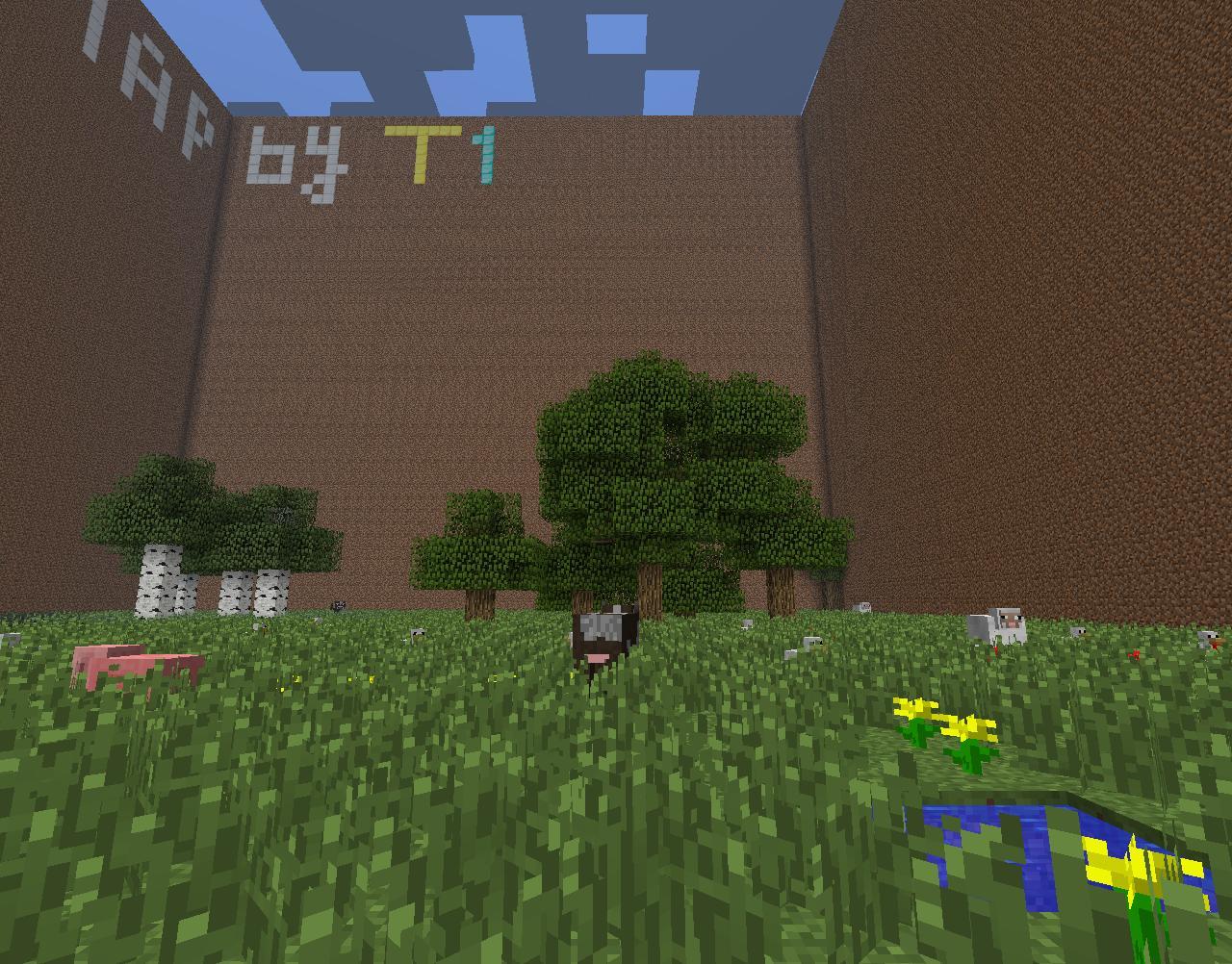 Rectangular life ver.1.0 Minecraft Map