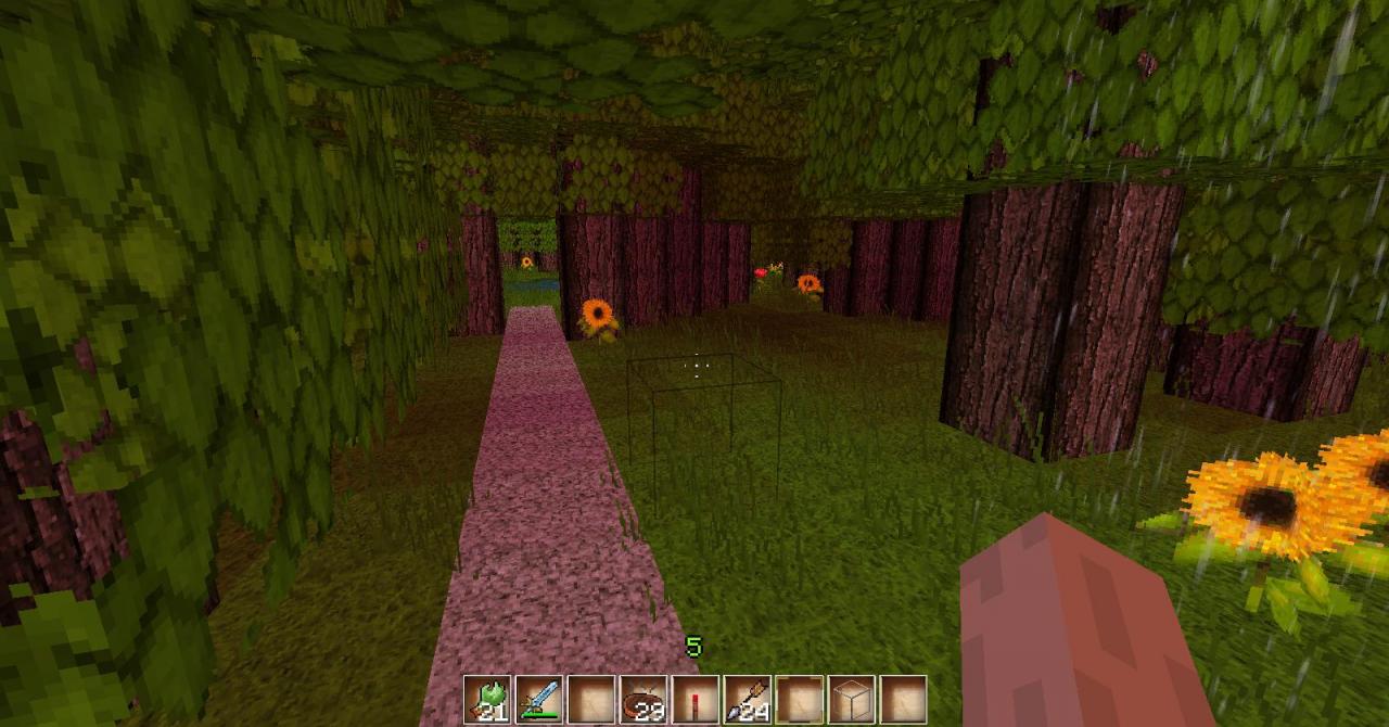 Forest Minecraft Map