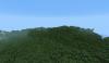 Amazon Rainforest Minecraft Map