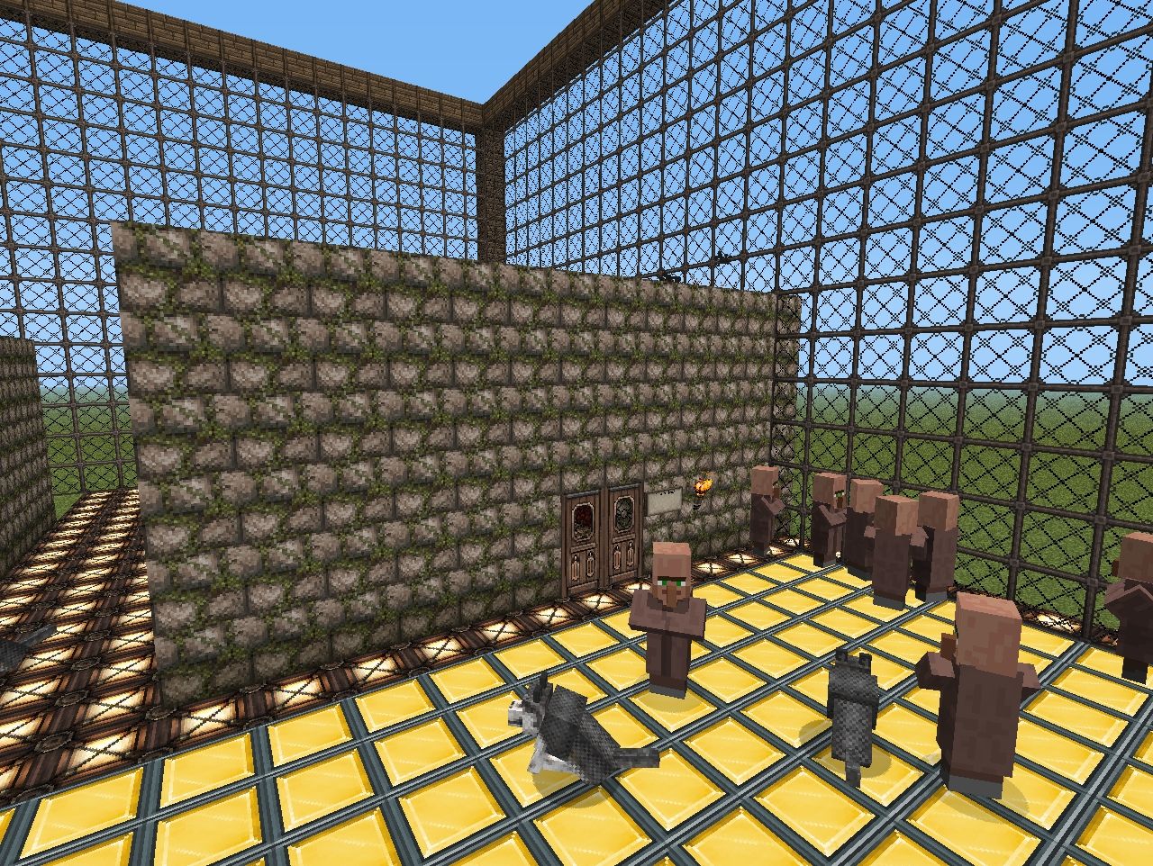 Npc Villagers town Minecraft Map