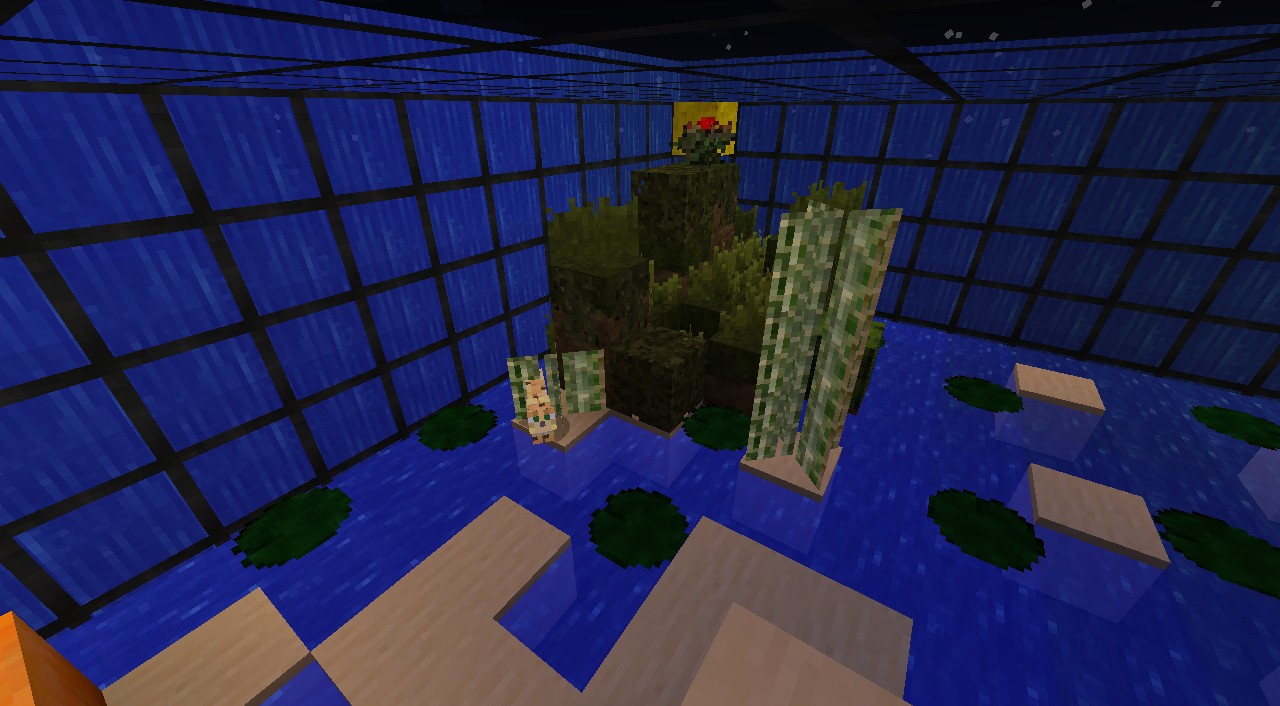 2 play mini biom Minecraft Map