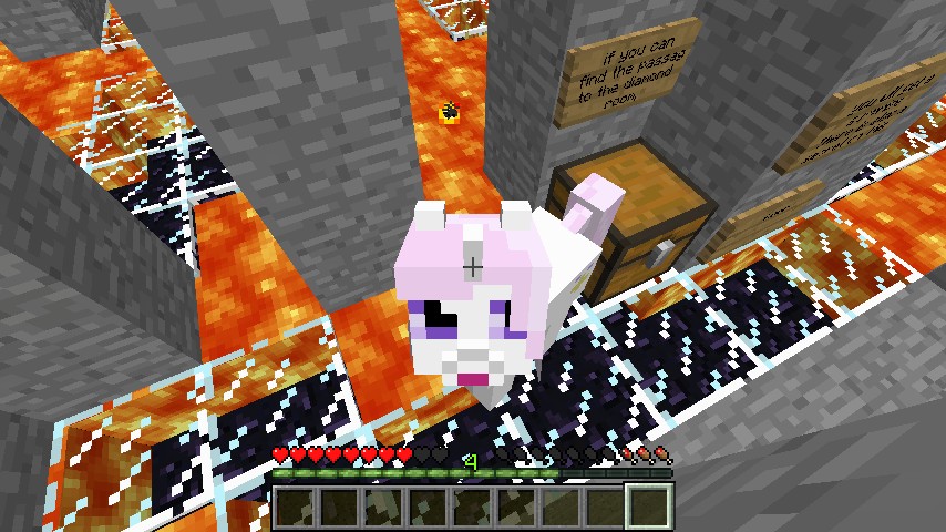 The game Minecraft Map