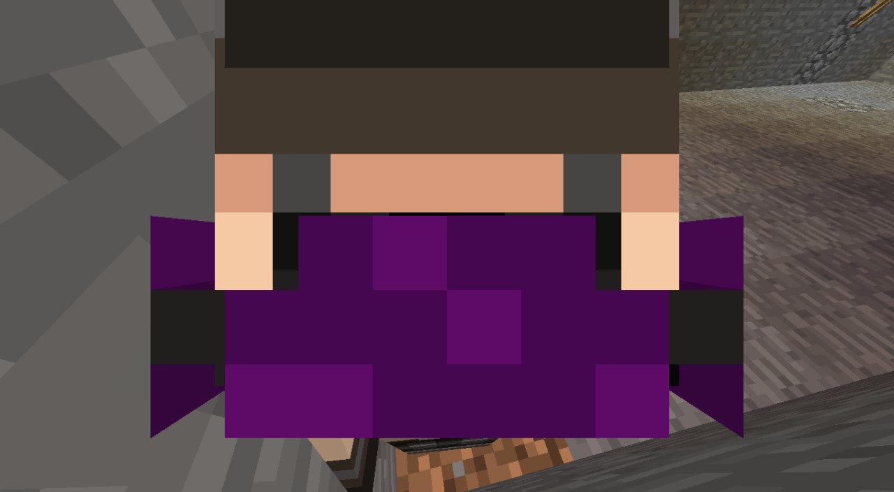 Cool SMP server plz go on it Minecraft Server