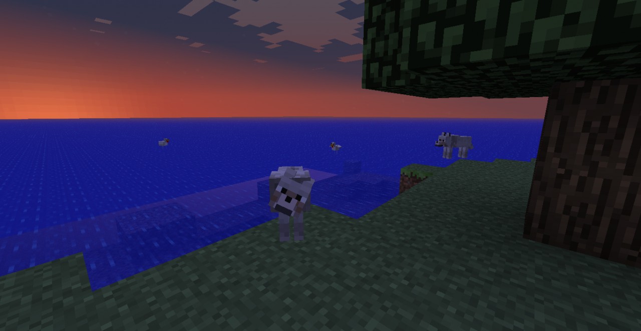 stranded adventure by jollydowy Minecraft Map